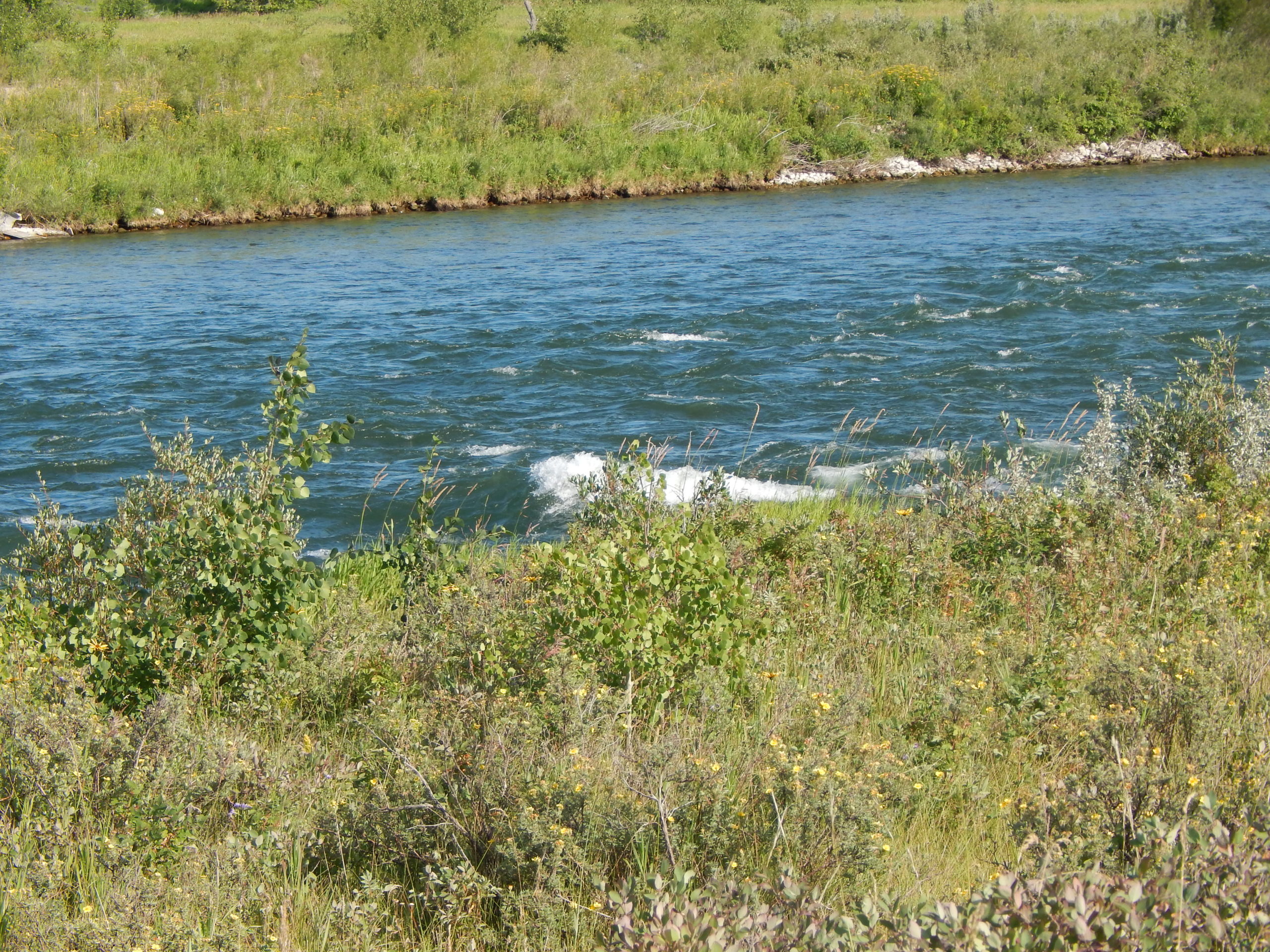 Running River – Edocation