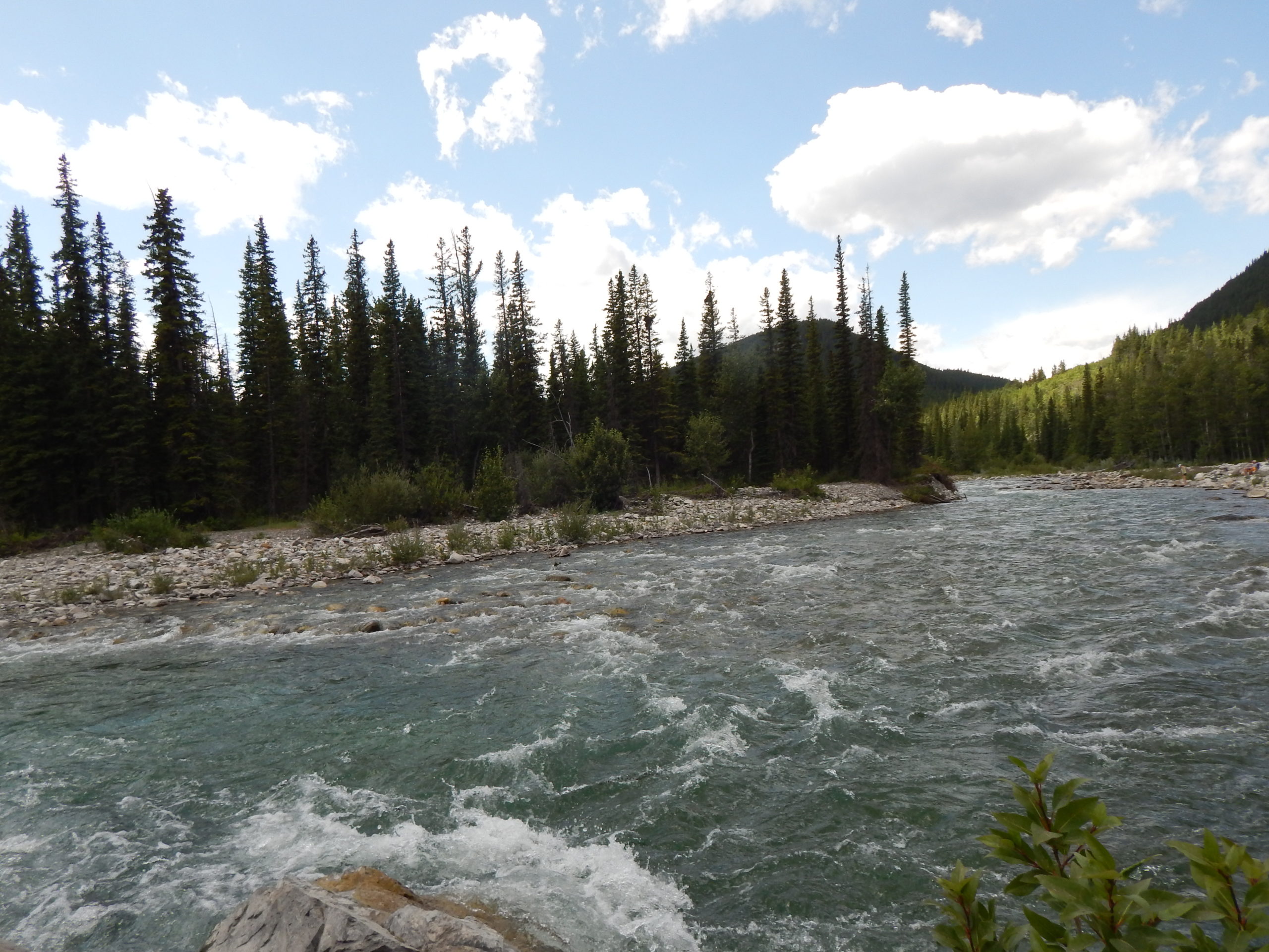 Rapids – Edocation